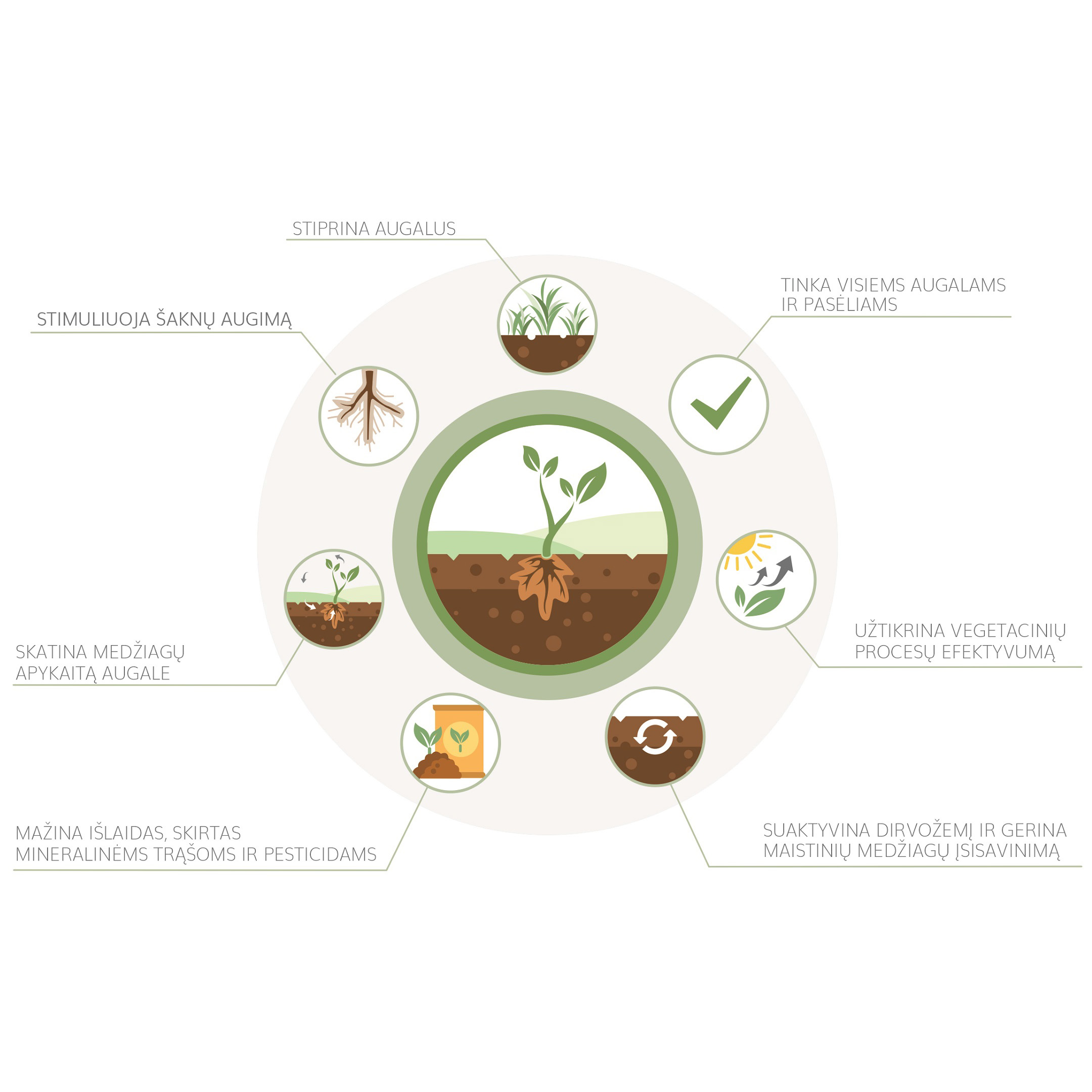 Penergetic p | Bioenergy LT